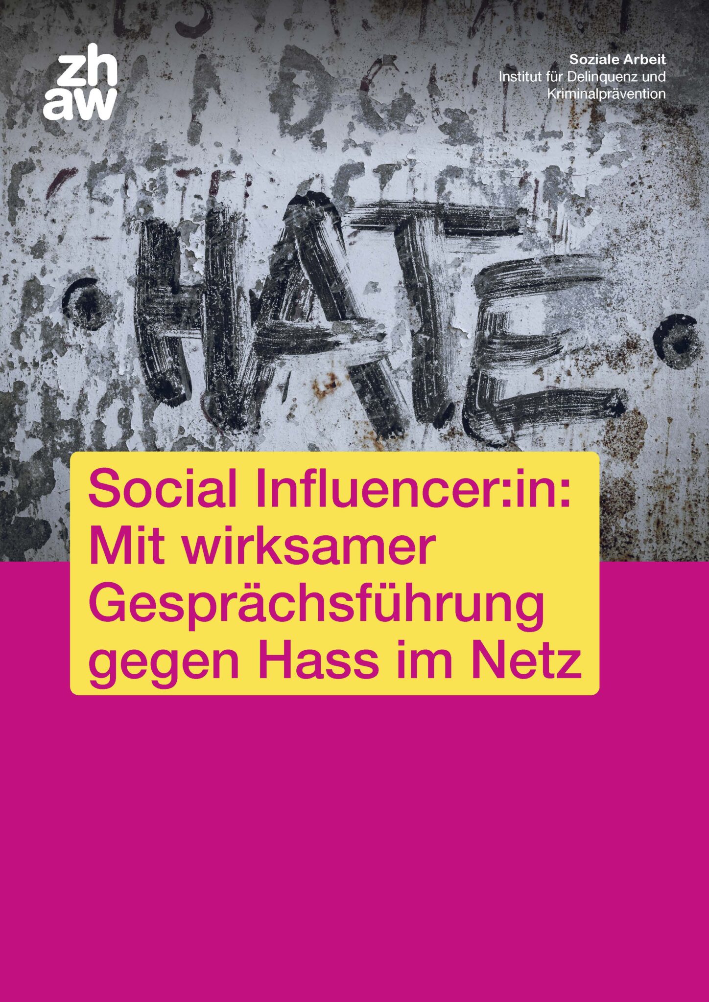 Counter Speech Hero. Gegenrede gegen Hass im Netz - DIZH